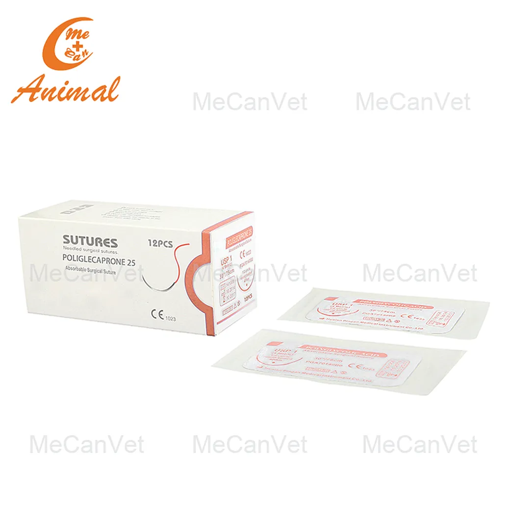 Surgical Sutures for Animal Surgical